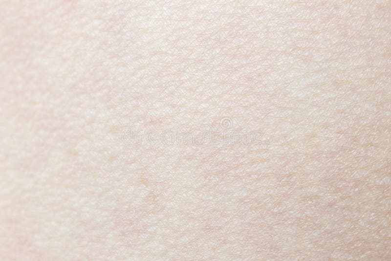 Pattern of Human Skin with Cells and Lines Texture. Stock Photo - Image ...