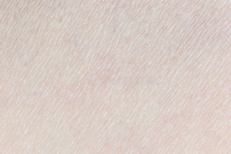 Pattern of Human Skin with Cells and Lines Texture. Stock Image - Image ...