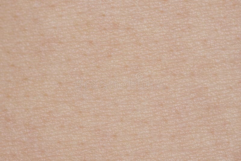 Pattern of human skin stock photo. Image of health, detailed - 105956384
