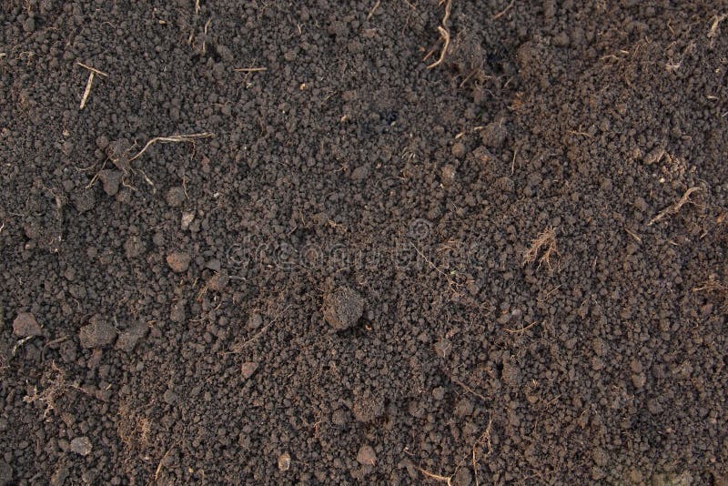 Pattern of humus soil stock photo. Image of agriculture - 16451510
