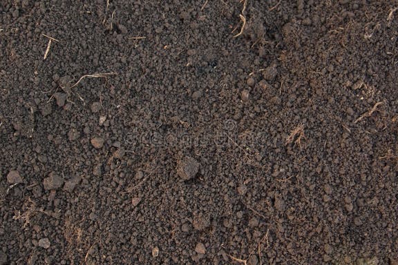 3,703 Dry Humus Beaker Stock Photos - Free & Royalty-Free Stock Photos ...