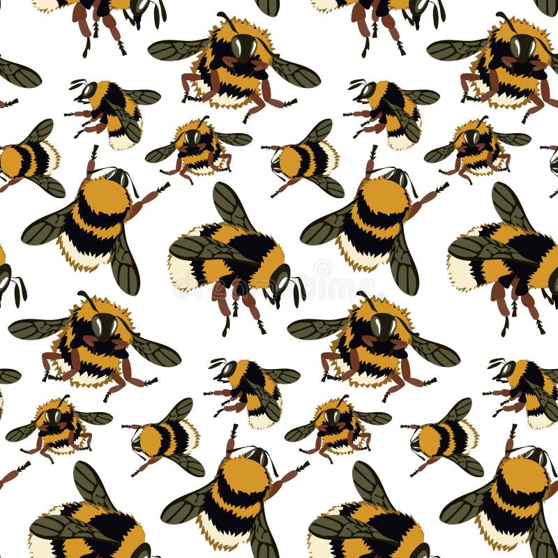 A Pattern with an Image from a Honey Bee. Fluffy Bees, Bumblebees in ...
