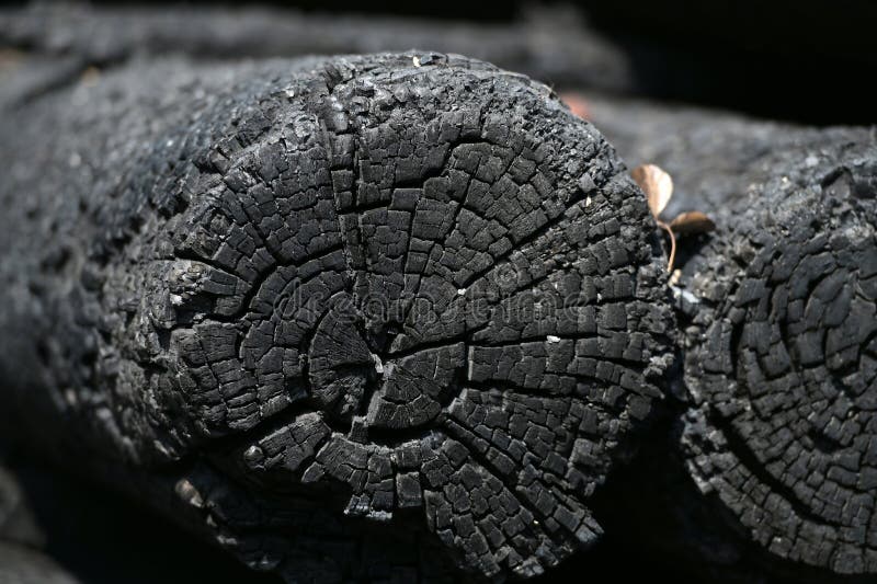 Close-up of a Pattern on a Burnt Log Stock Photo - Image of broken ...