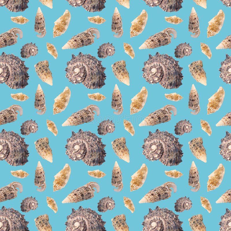 Pattern of a Large Number of Sea Shells on a Blue Background. Stock ...