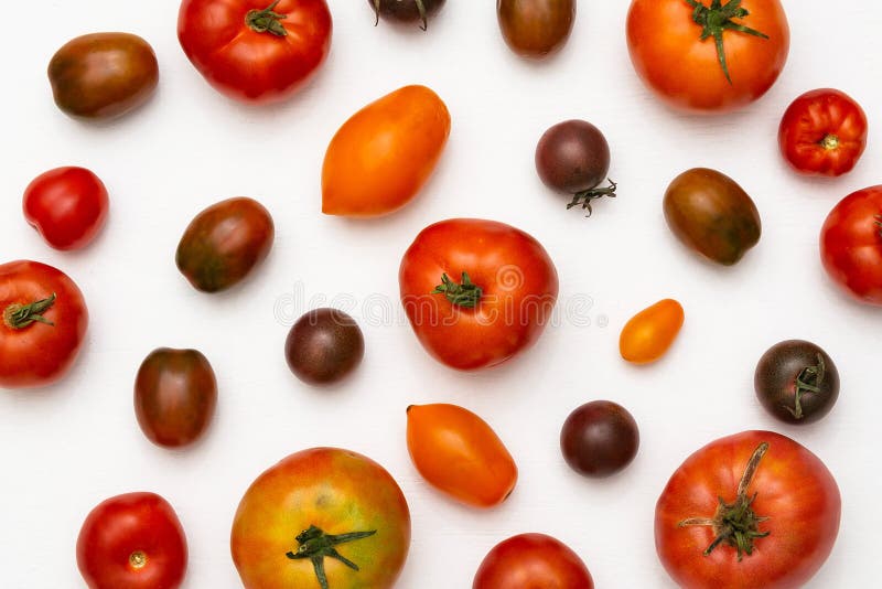 A Pattern of Large and Small Tomatoes of Various Colors and Shapes on a ...
