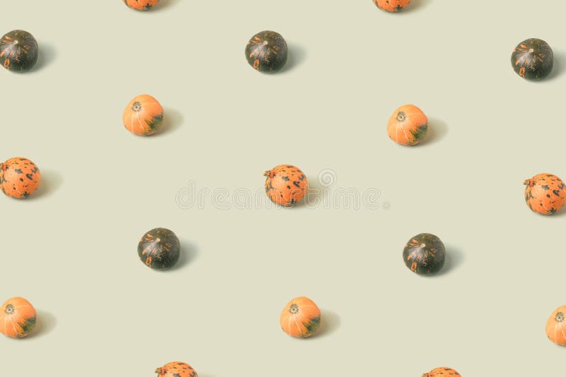 Pattern Layout of Decorative Squash on a Light Green Background. Stock ...