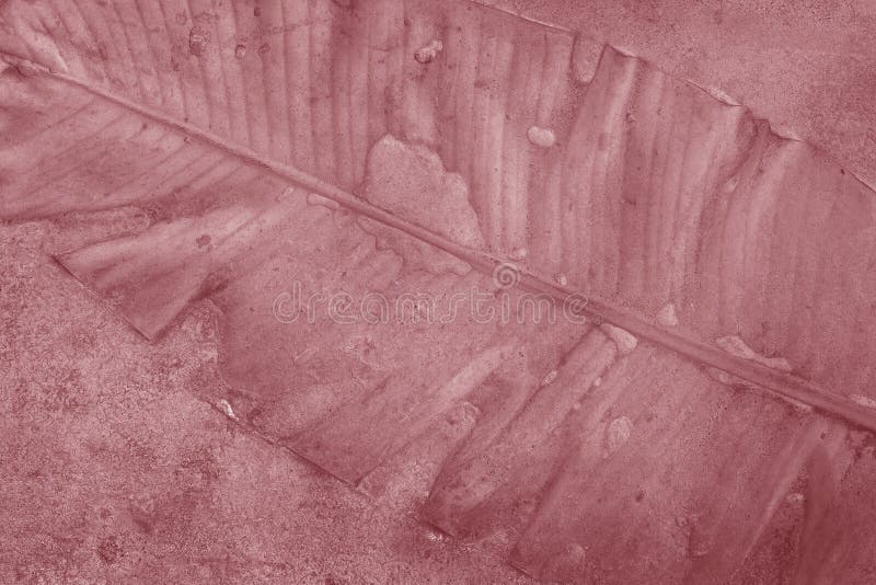 Pattern of Leaf Stamped on Concrete Pavement for Decorate Walkways in ...