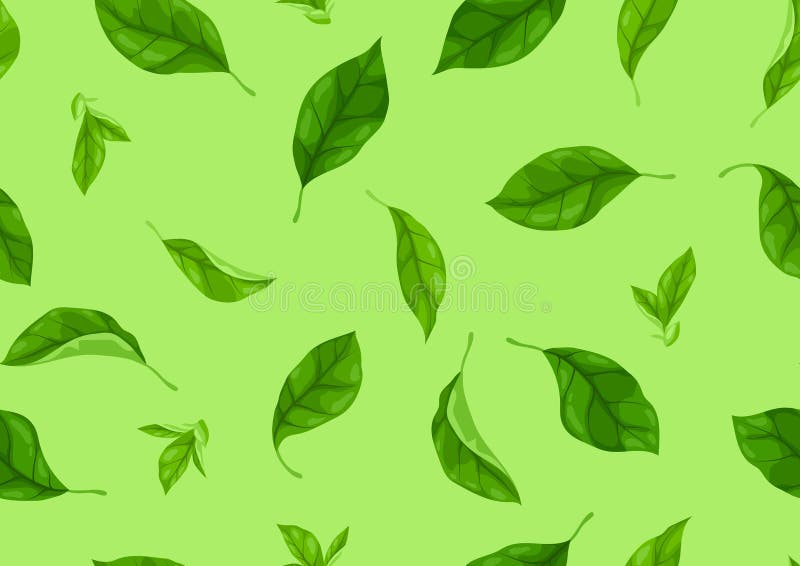 Pattern with Leaves. Spring or Summer Stylized Foliage Stock Vector ...