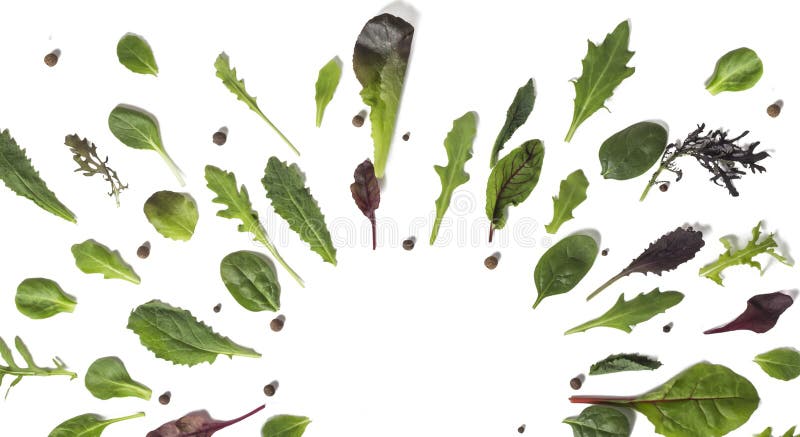 Pattern with Lettuce Leaves. Vegetable Abstract Background Stock Image ...