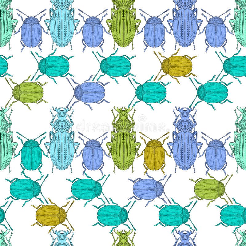 Pattern of Long and Round Multi-colored Beetles Stock Vector ...