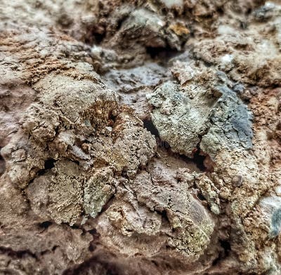 The Pattern of a Lump of Earth Stock Image - Image of soil, lump: 264149199