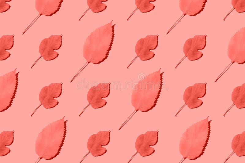 Pattern Made of Autumn Leaves Toned Coral Color. Creative Layout Stock ...