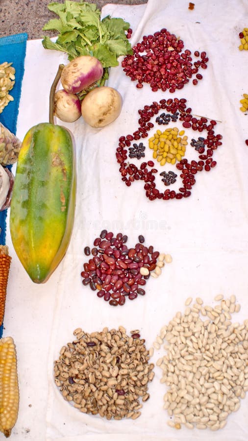 Pattern Made from Beans at Muyu Raymi Stock Image - Image of pattern ...