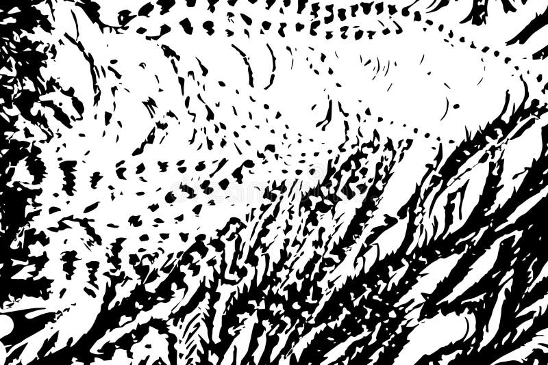 Pattern Made by the Frost on Window. Abstract Grunge Black and White ...