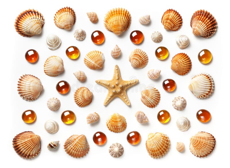 Pattern Made of Shells, Starfish and Orange Glass Beads Isolated on ...