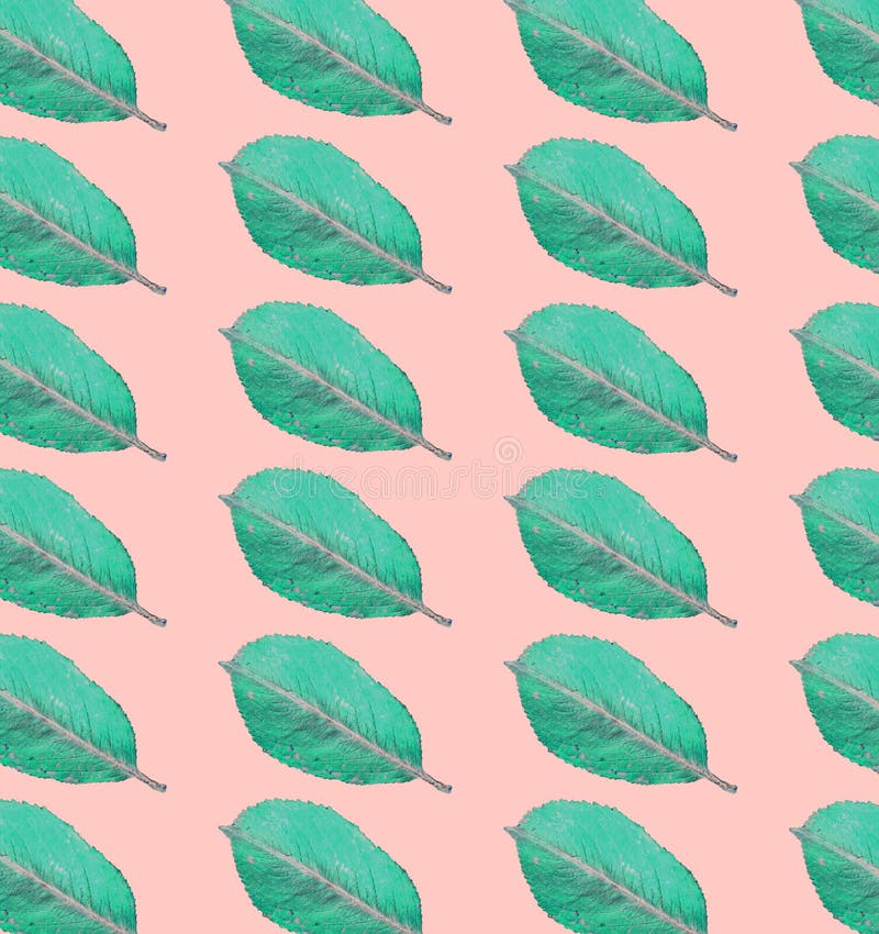 Pattern Made of Vibrant Bold Colored Leaf. Square Crop. Flat Lay ...