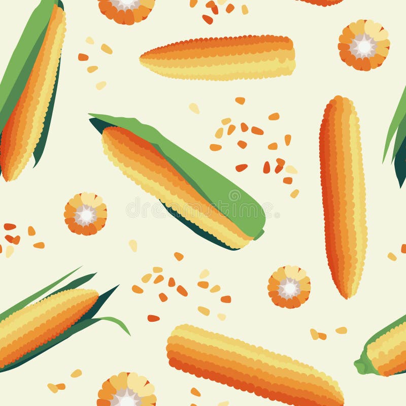 Corn Leaf Cross Section Stock Illustrations – 20 Corn Leaf Cross ...