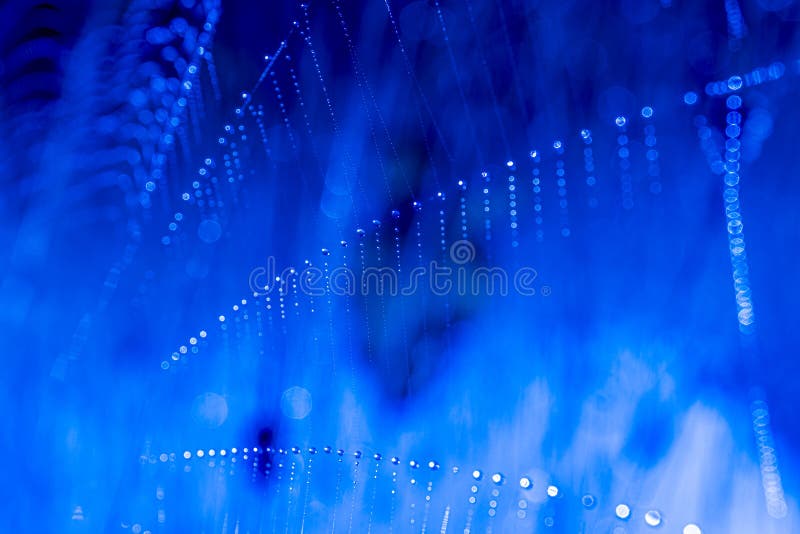 Pattern of Morning Dew on Spider Web in Blue Light. Cobweb Mesh Texture ...