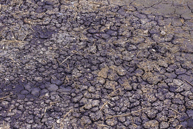 Dry Pattern Mud Closeup Texture Stock Image - Image of arid, drought ...