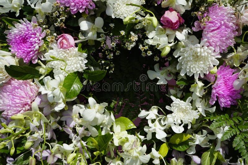 Pattern of Natural Flowers Background Texture Stock Photo - Image of ...