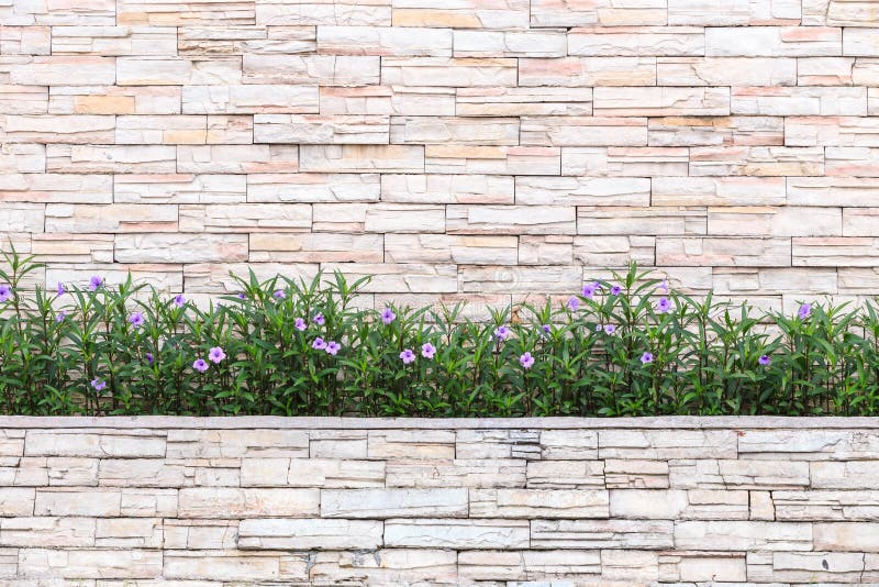 Pattern of Natural Stone Wall and Flower Plant. Garden Decorative Stock ...