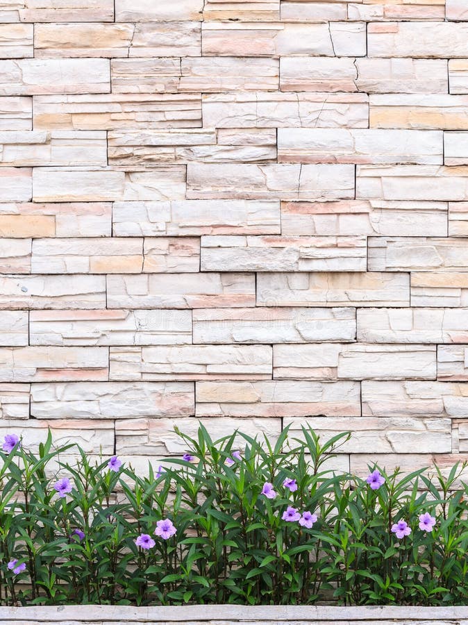 Pattern of Natural Stone Wall and Flower Plant. Garden Decorative Stock ...