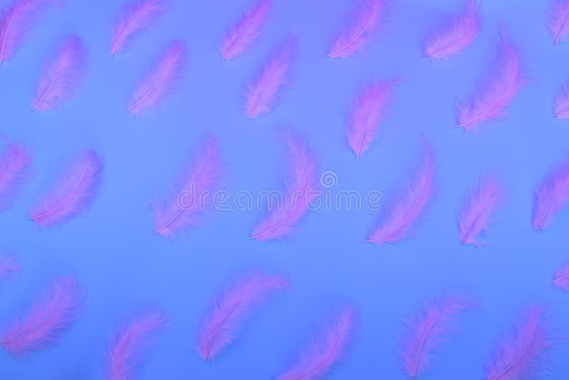 Pattern Neon Background. Pink Feathers on a Neon Blue Background. Copy ...