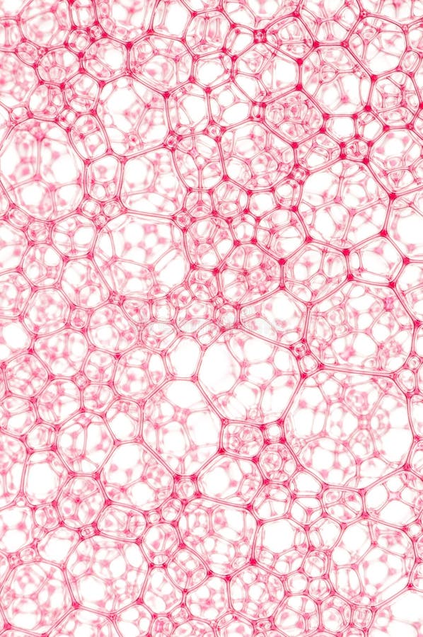 Pattern stock photo. Image of light, observe, modern - 41638392