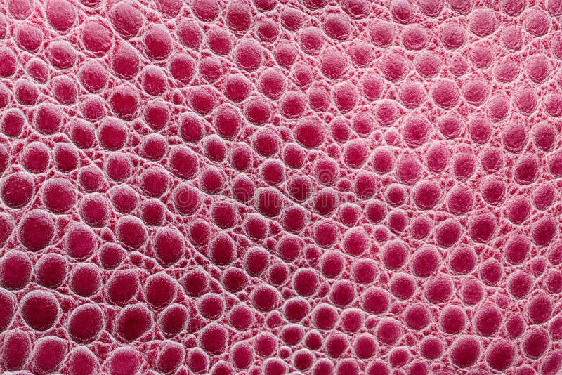 Pattern Number 442, Red Snake Skin Surface Realistic Drawing for ...