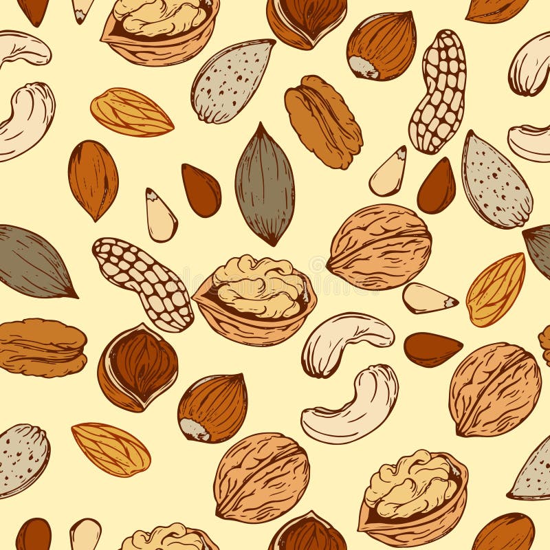 Pattern nuts stock vector. Illustration of nutshell - 102853252