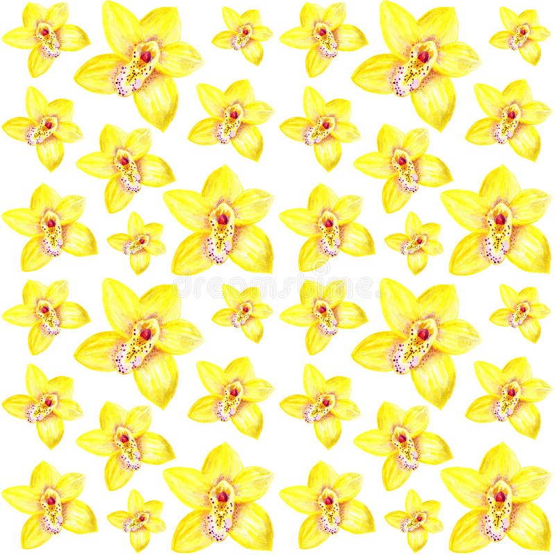 Flowers of Yellow Orchids, Pattern for Printing. Watercolor ...