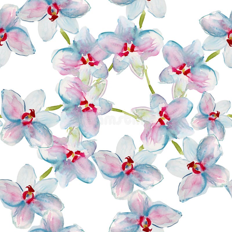 Pattern with orchids stock illustration. Illustration of blooming ...