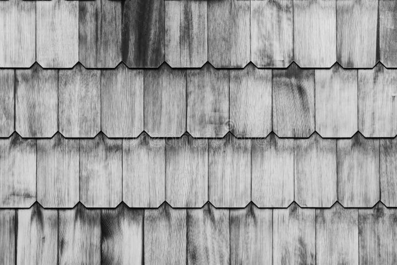 1,498 Wall Larch Stock Photos - Free & Royalty-Free Stock Photos from ...