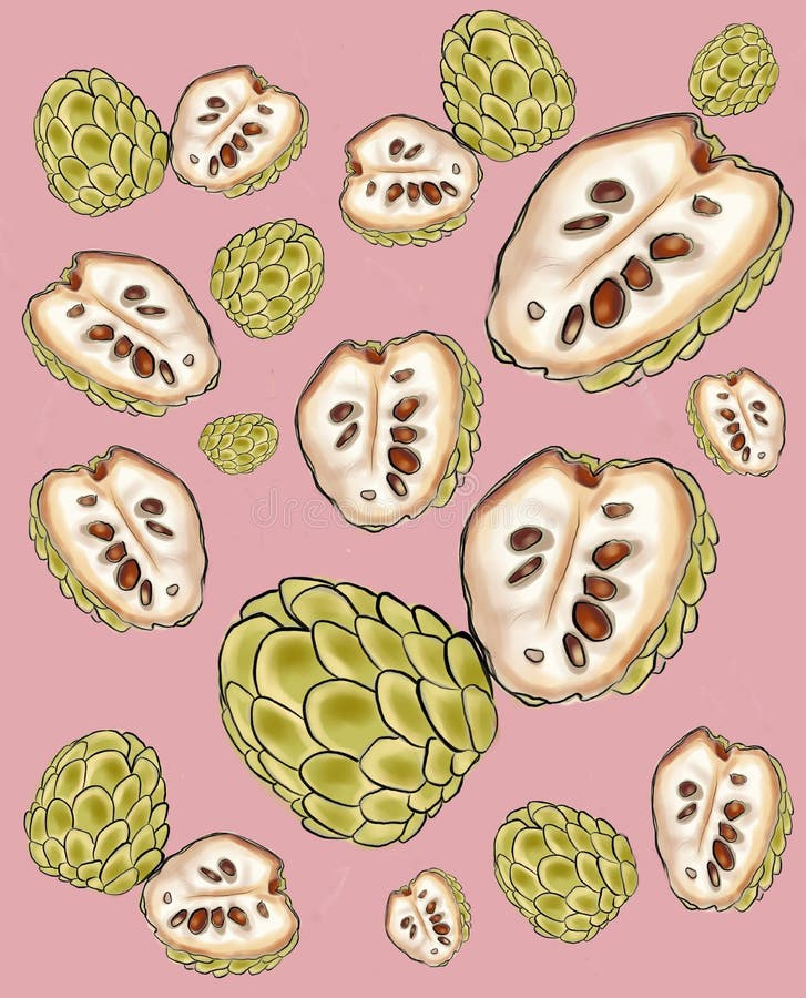 Nuna Fruits Stock Illustrations – 4 Nuna Fruits Stock Illustrations ...