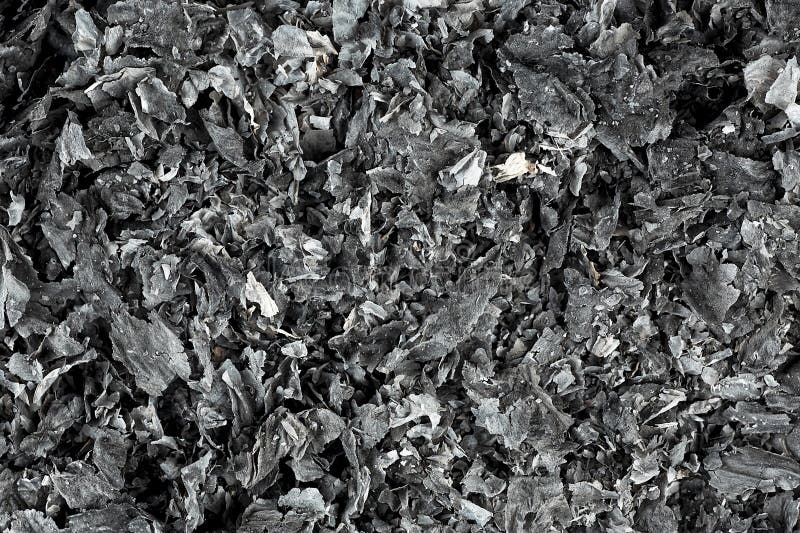 Pattern of Paper Ashes Consumed by Fire As Background. Burnt Paper ...