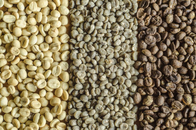 Pattern of Parchment, Raw and Roasted Coffee Beans Stock Image - Image ...