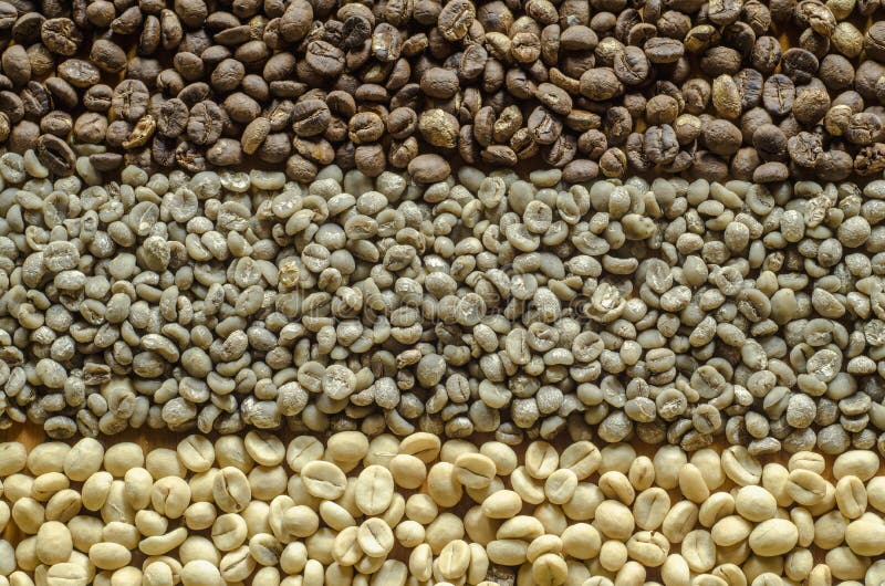 Pattern of Parchment, Raw and Roasted Coffee Beans Stock Photo - Image ...