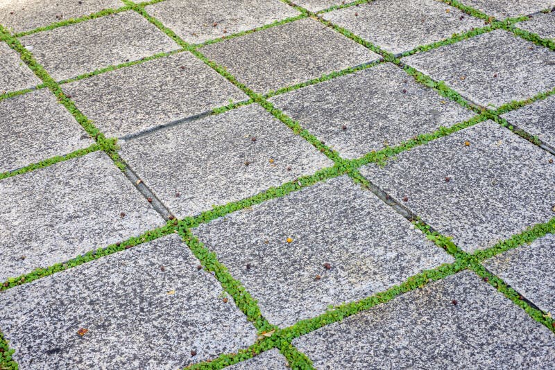 Pattern Pathway on the Lawn Stock Photo - Image of design, ornament ...