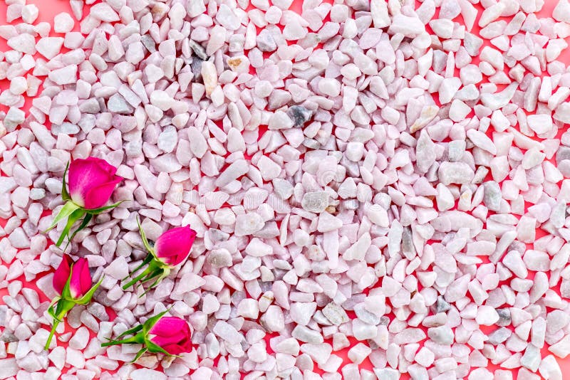 Pattern with Pebble and Flowers on Pink Background Top View Stock Image ...