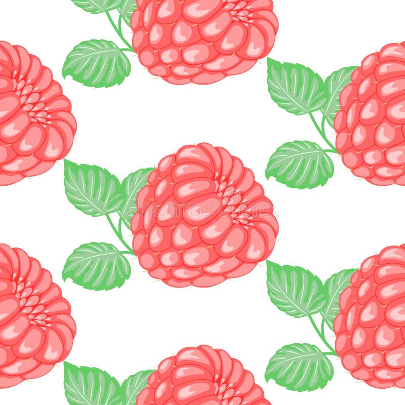 Pattern of Pink Raspberries with Green Leaves Stock Vector ...