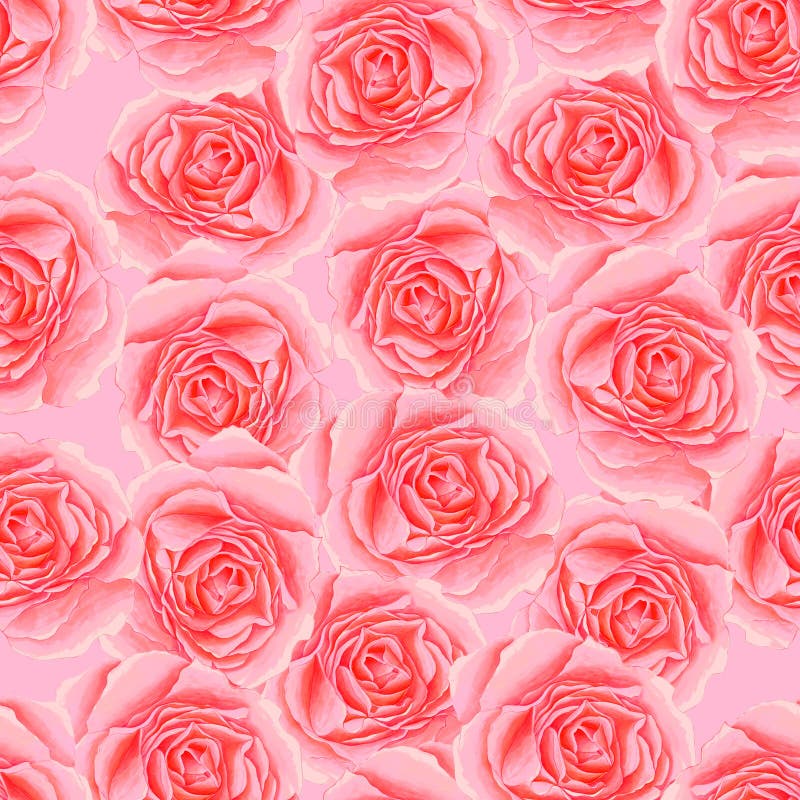 Pattern with Pink Roses. Seamless Pattern with Flowers. Delicate ...