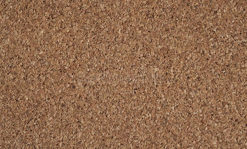 Pattern of pith surface stock image. Image of horizontal - 17283735