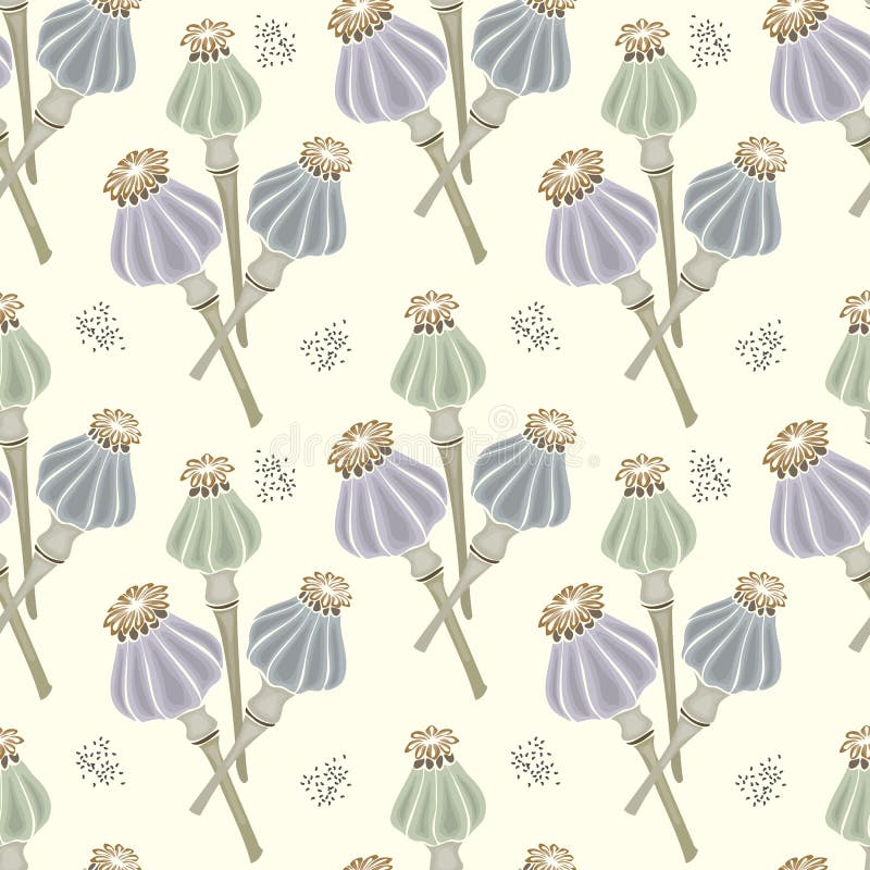 Pattern Poppy Seed Pods, Stylized Hand Drawn Doodle, No Outline. Stock ...