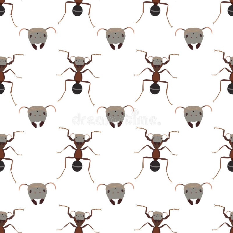 Red Ants Border Frame Stock Illustrations – 13 Red Ants Border Frame ...