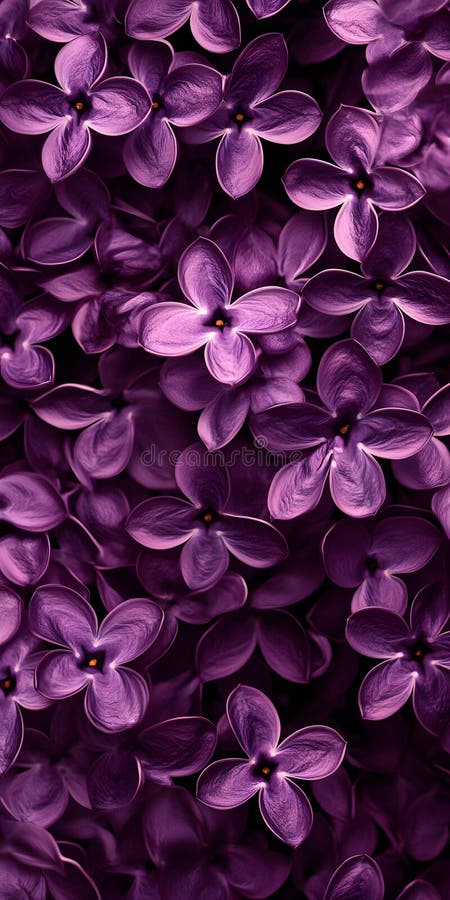 Pattern of Purple Flowers on Dark Background Stock Illustration ...