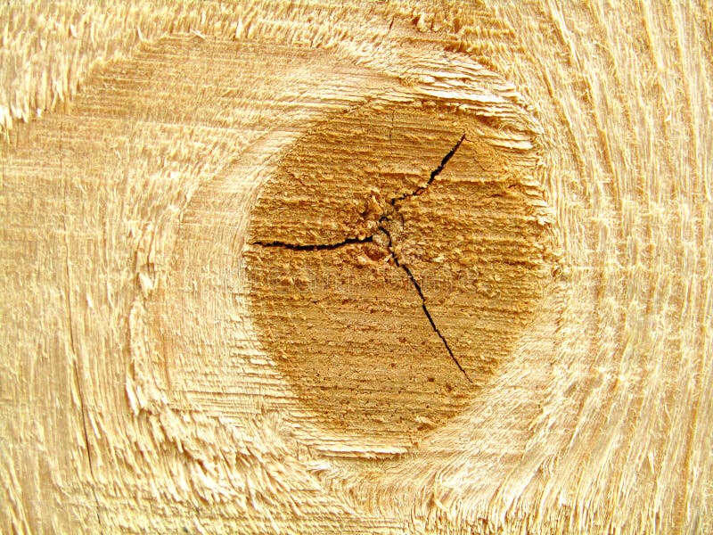 Pattern of Raw Fir Wood after Cutting Stock Photo - Image of design ...