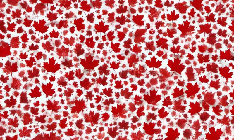 Pattern of Red Acer Maple Leaves Texture for Autumn Fall Design or ...