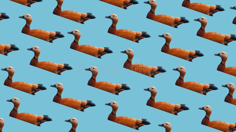 A Pattern of Red Ducks on a Blue Background. Stock Photo - Image of ...