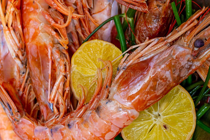 Pattern of Red King Prawns Big with Cut Round Lemons Slice Culinary ...