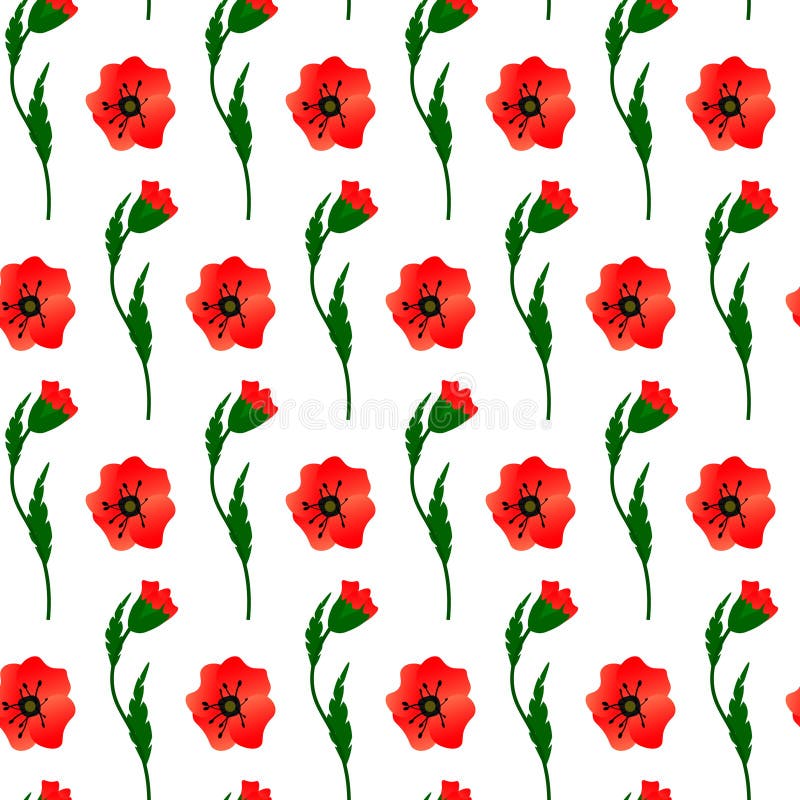 Pattern with Red Poppies. Floral Vector Print on White Background Stock ...
